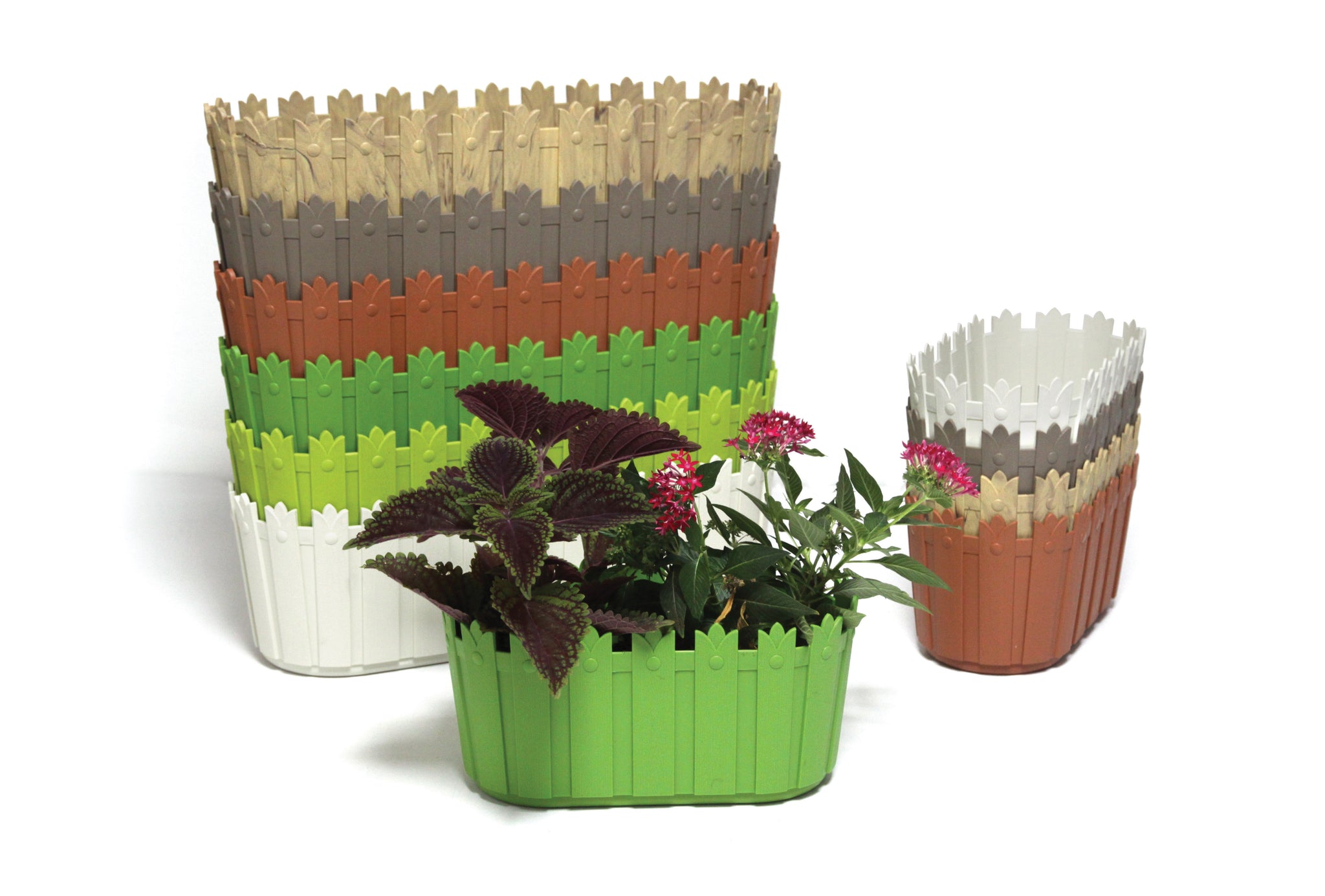 Tulip - Window Box – DF Omer Catalog