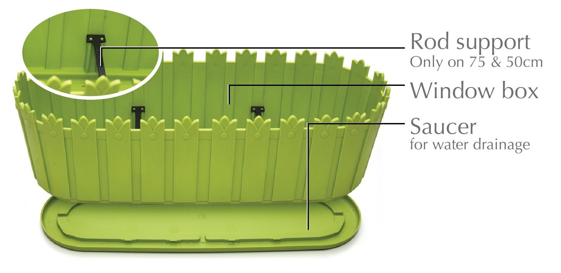 Tulip - Window Box – DF Omer Catalog